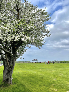 Assistant Golf Professional: Kirby Links Golf Course & Driving Range ...